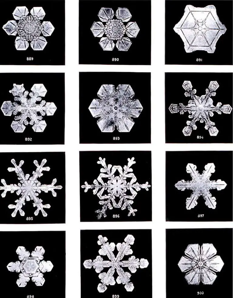Remembering Wilson Bentley, The Snowflake Photographer - New England ...