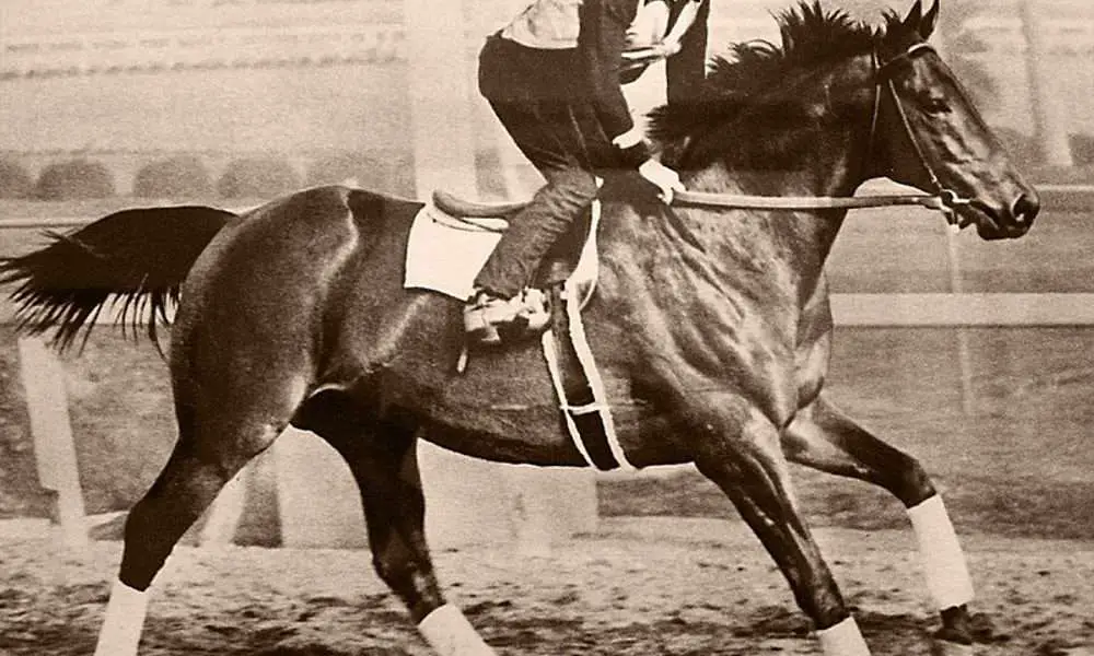 Seabiscuit Takes His First Step to Fame at Suffolk Downs - New England ...