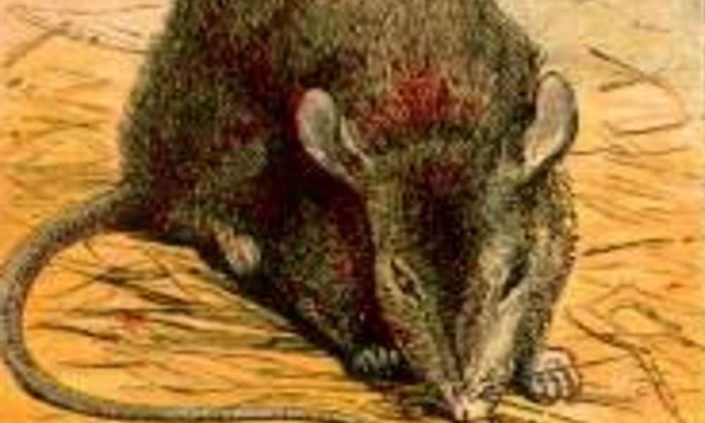 Boston’s Rat Day of 1917 - New England Historical Society